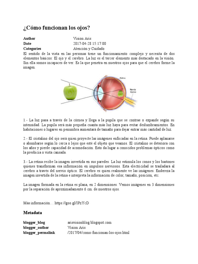 Como Funcionan Los Ojos | PDF