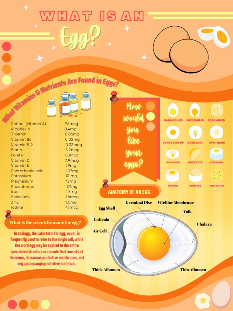 Infographic For Egg | PDF | Yolk | Reproduction