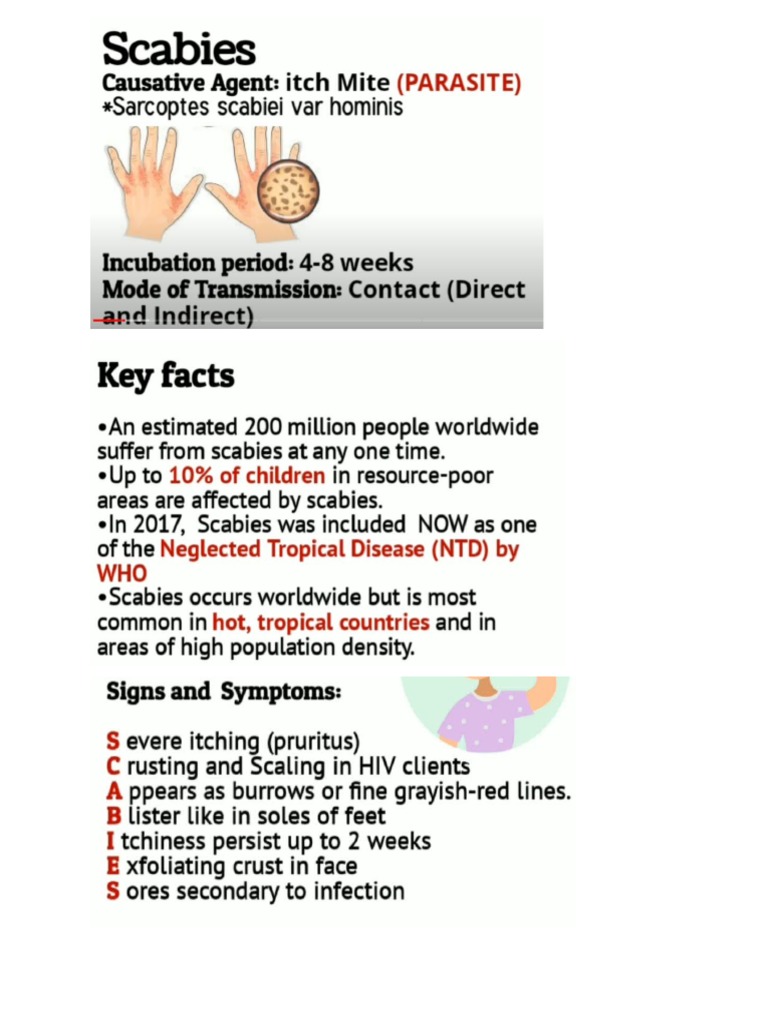 AN Scabies | PDF