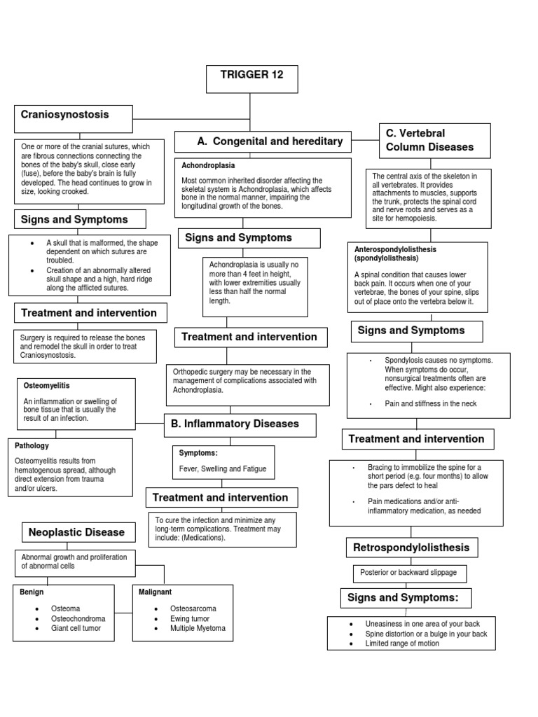 Concept Map T14 | PDF