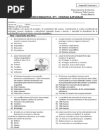 Prueba sobre sistemas óseo, muscular y nervioso | PDF | Hueso | Sistema ...