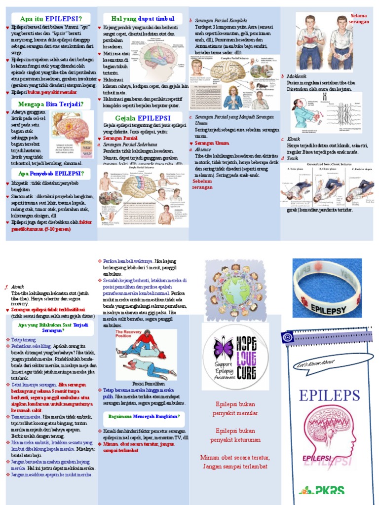 Leaflet Epilepsi | PDF