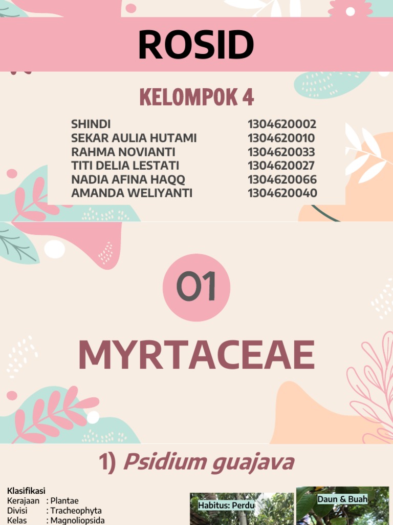 Kelompok 4 - Rosid FIX | PDF