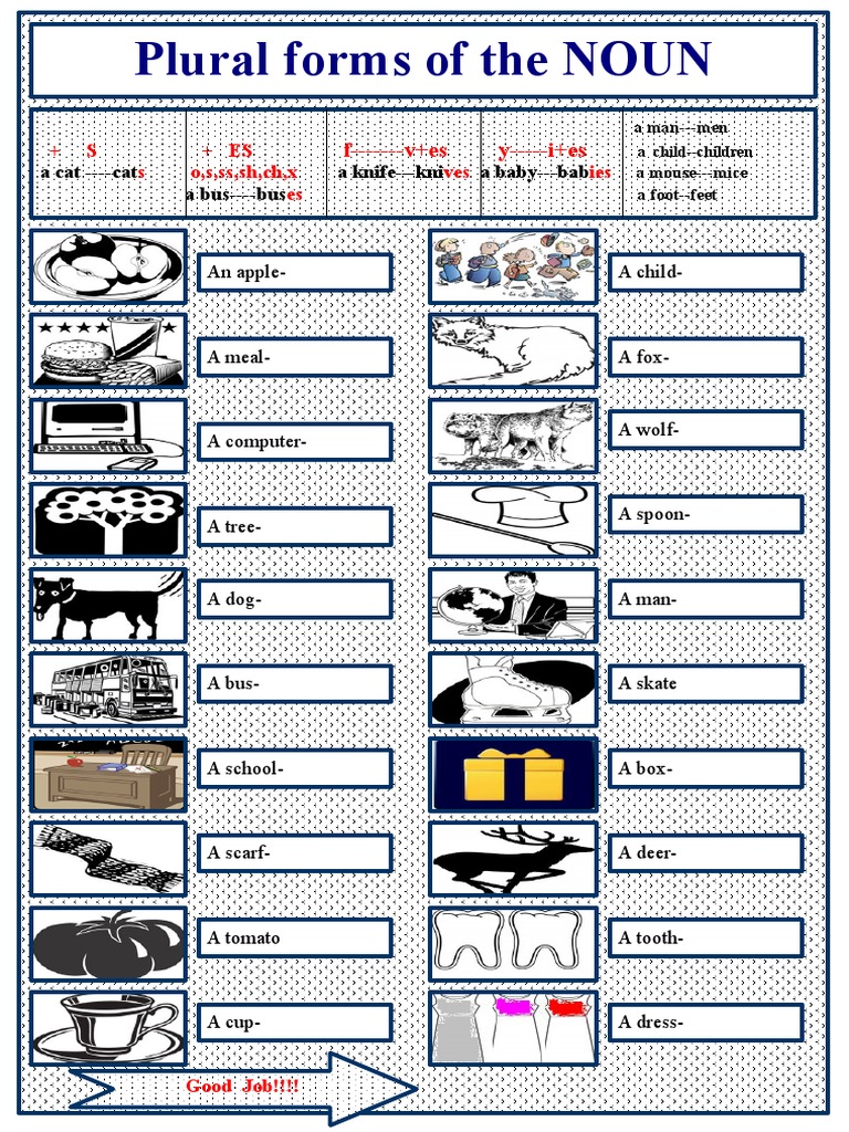Plural Forms of The Noun 12929 | PDF