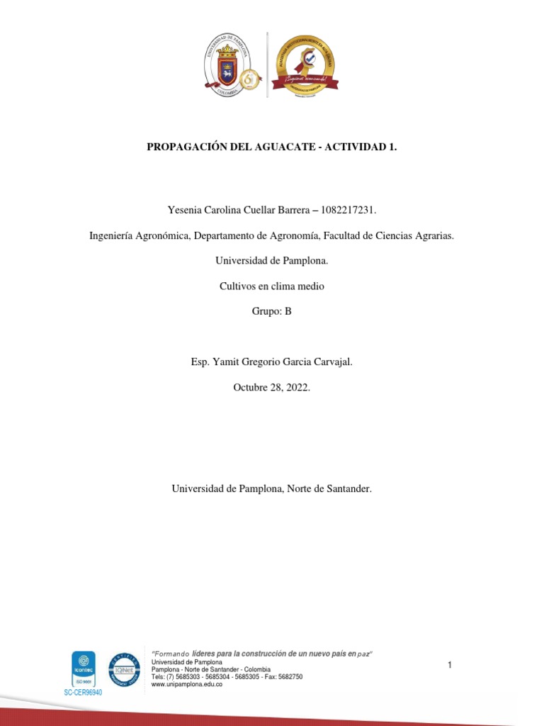 Propagación Aguacate | Descargar gratis PDF | Injerto | Aguacate