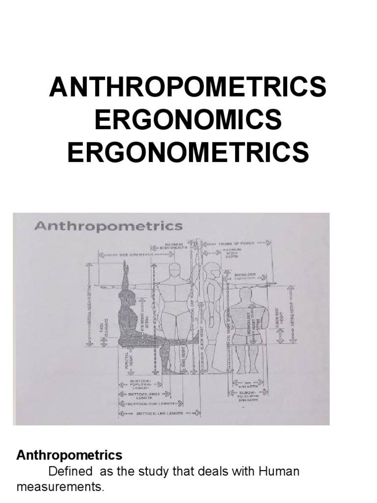 Anthropometrics - Ergonomics - Ergonometrics | PDF