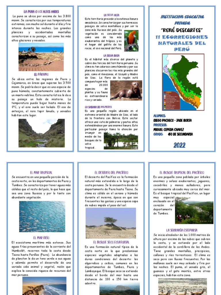 Triptico de Las 11 Ecorregiones 2.0 | PDF | Selva | Zona tropical