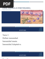 Anticuerpos Triptico | PDF | Sistema inmune | Anticuerpo