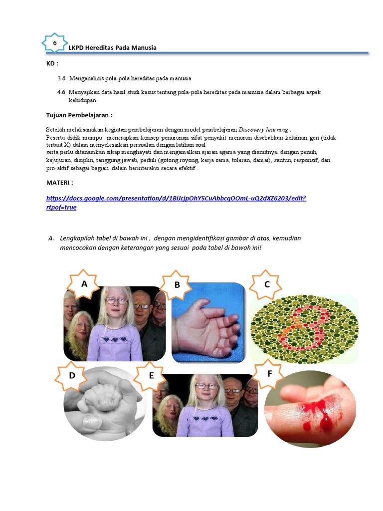 LKPD Hereditas Pada Manusia | PDF