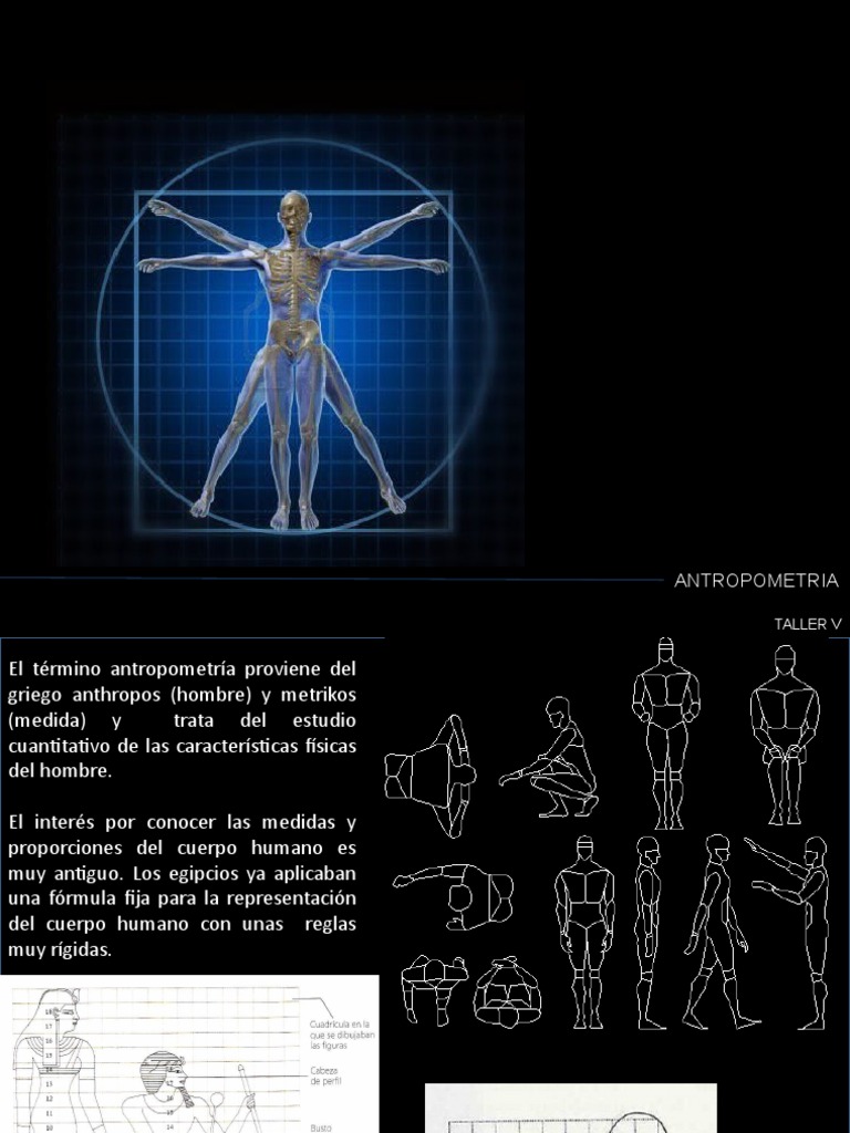 ANTROPO | PDF | Arte