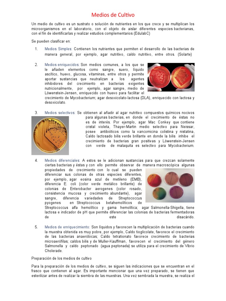 Medios de Cultivo | PDF