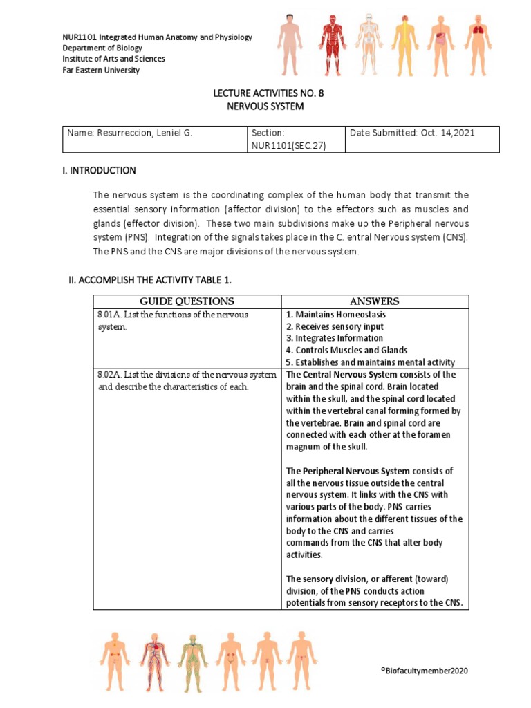 Lec Activity8 Nervous System Leniel Resurreccion Nur1101 Sec27-1 | PDF