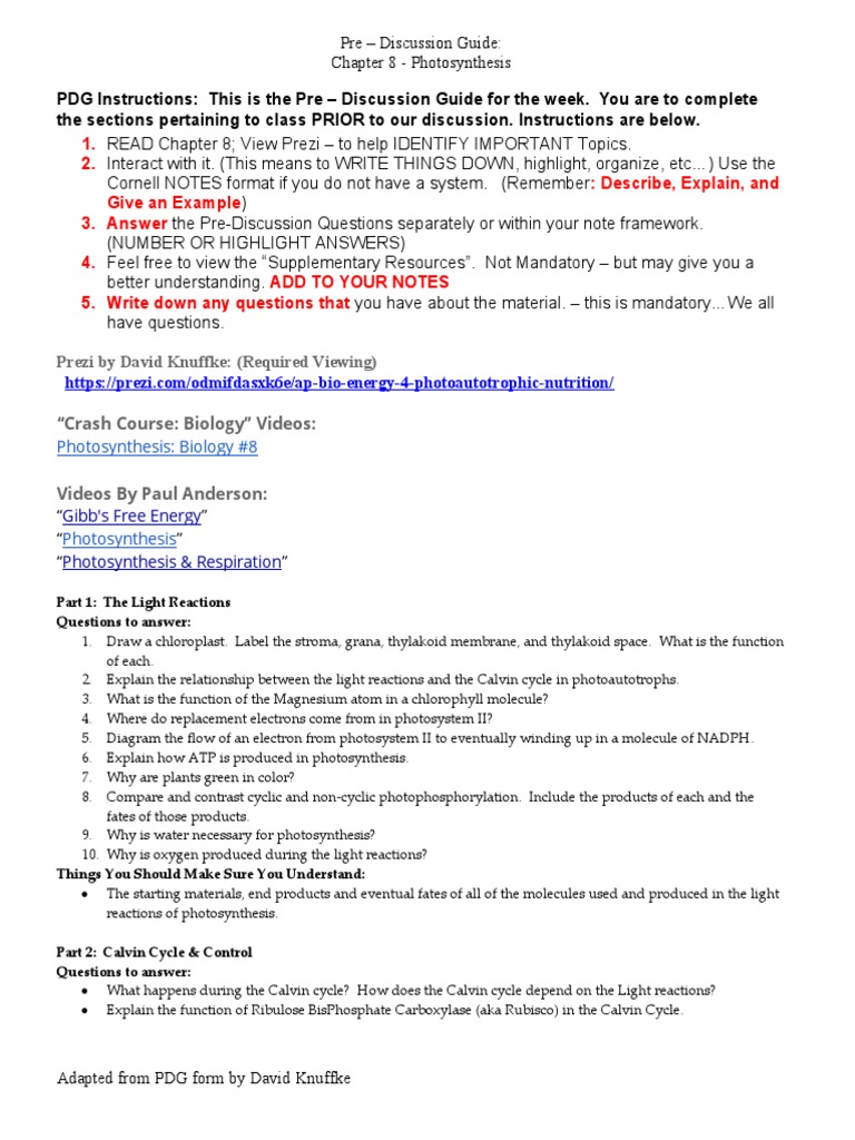 Chapter 8: Photosynthesis Discussion Guide | PDF | Photosynthesis | Biology