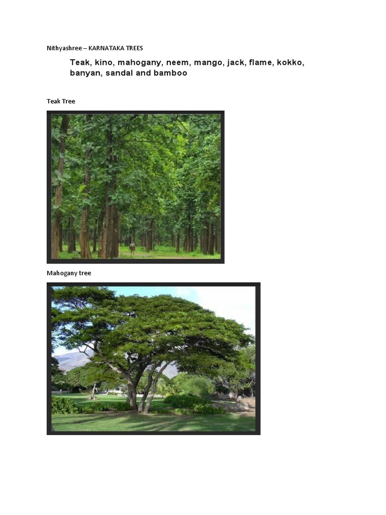Nithyashree Tree in Karnataka | PDF