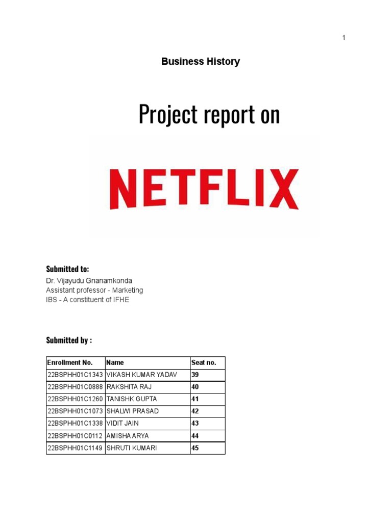 Netflix Report Final | PDF | Netflix | Strategic Management