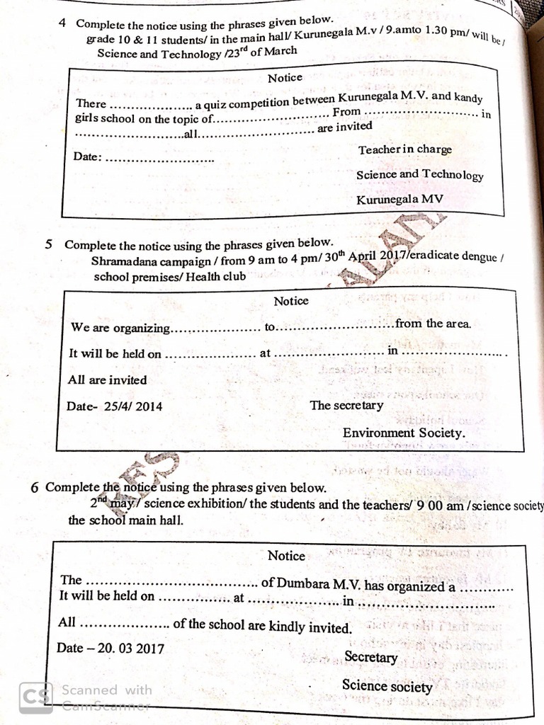 GRADE 11 English Worksheets | PDF