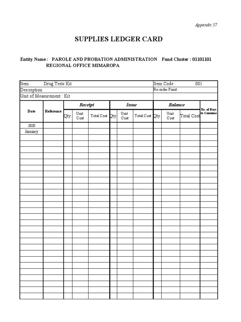 Supplies Ledger Card Calapan City PPO (1) .XLSX - New Form | PDF