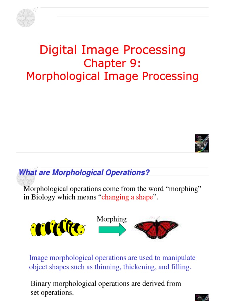 09 Morph | PDF | Matlab | Digital Signal Processing