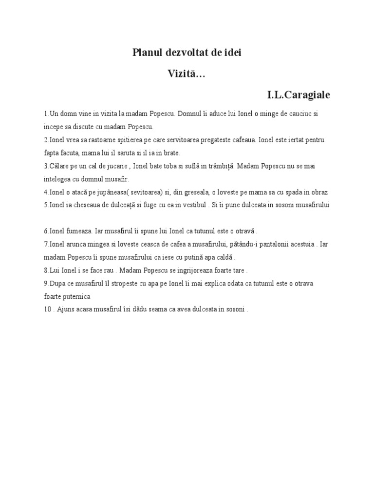 Vizita - Planul Dezvoltat de Idei | PDF