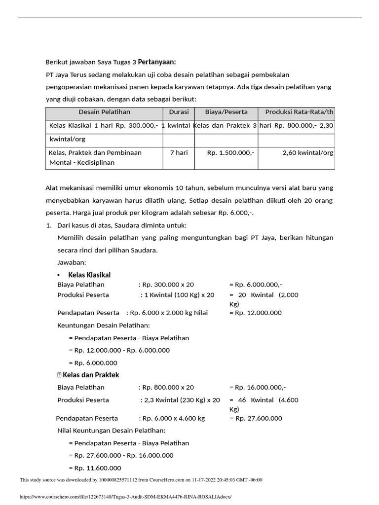 Tugas 3 Audit SDM EKMA4476 RINA ROSALIA | PDF