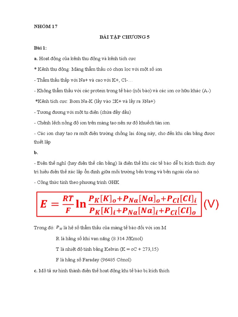BT Chuong 4 Nhom 17 | PDF