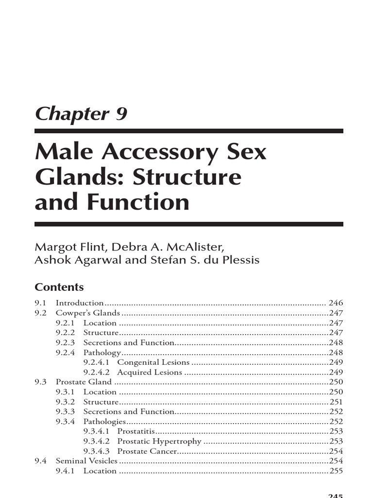 Male Accessory Sex Glands Structure And Function Pdf 9055