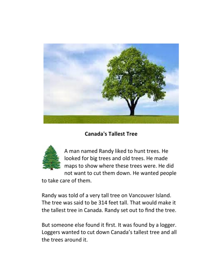 Canada's Tallest Tree F | PDF