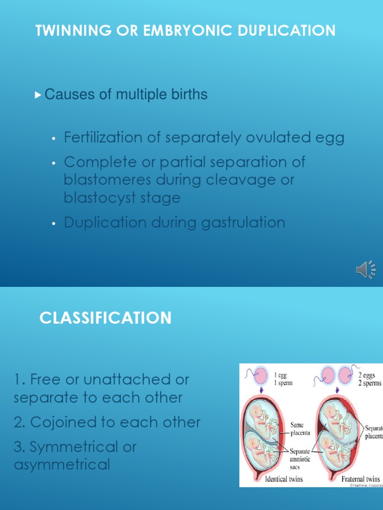 6- Twinning (1) | PDF | Twin | Biological Interactions