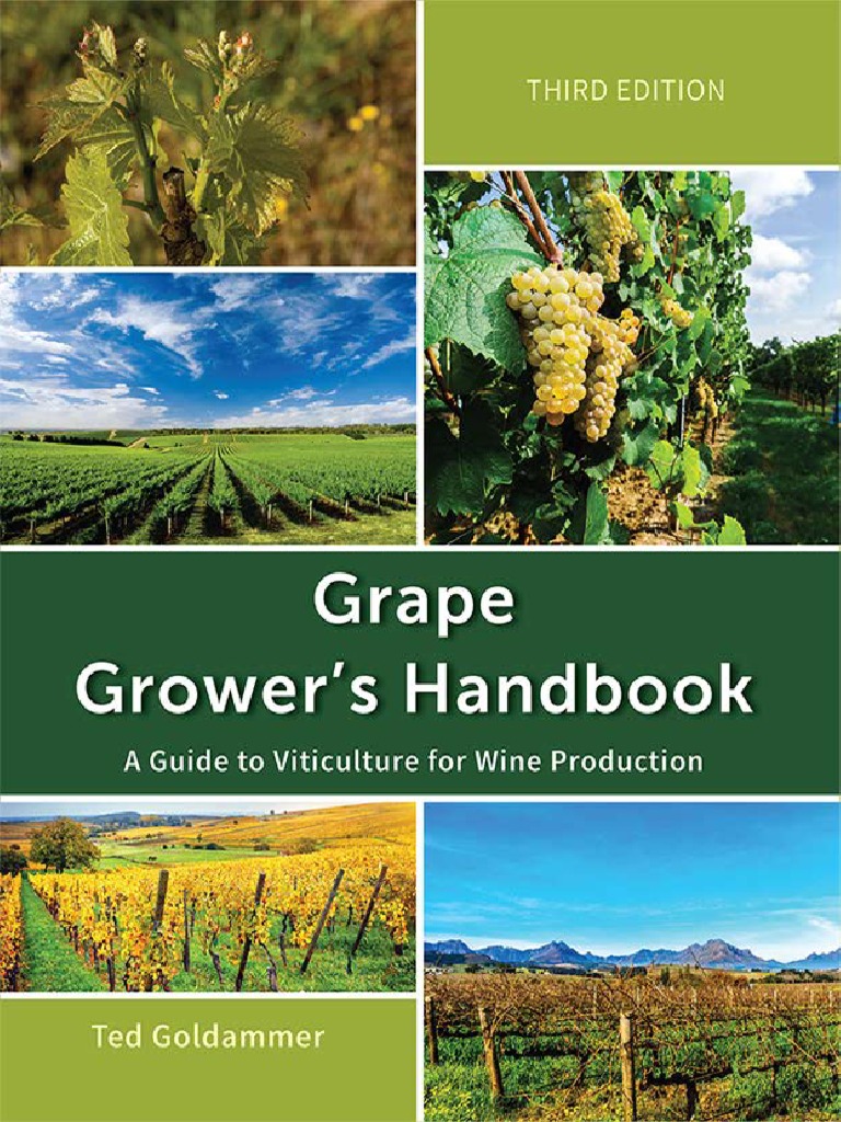 Grape Grower's Handbook - Sample Chapters | PDF | Vitis | Vineyard