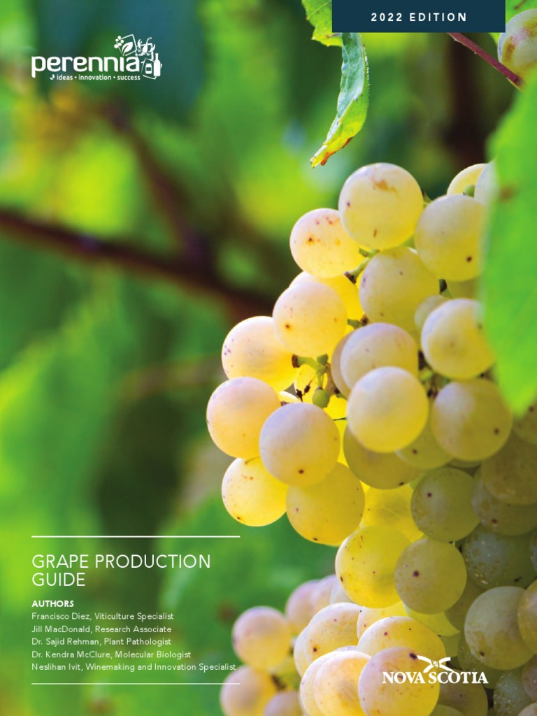 Grape Production Guide 2022 MAY Web | PDF | Soil | Vitis