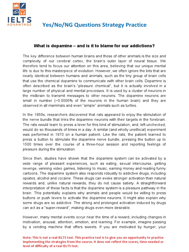 Yes No NG Questions Strategy Practice | PDF | Reward System | Brain