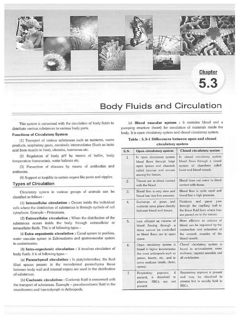 Errorless Biology - 18 - Body Fluids and Circulation | PDF