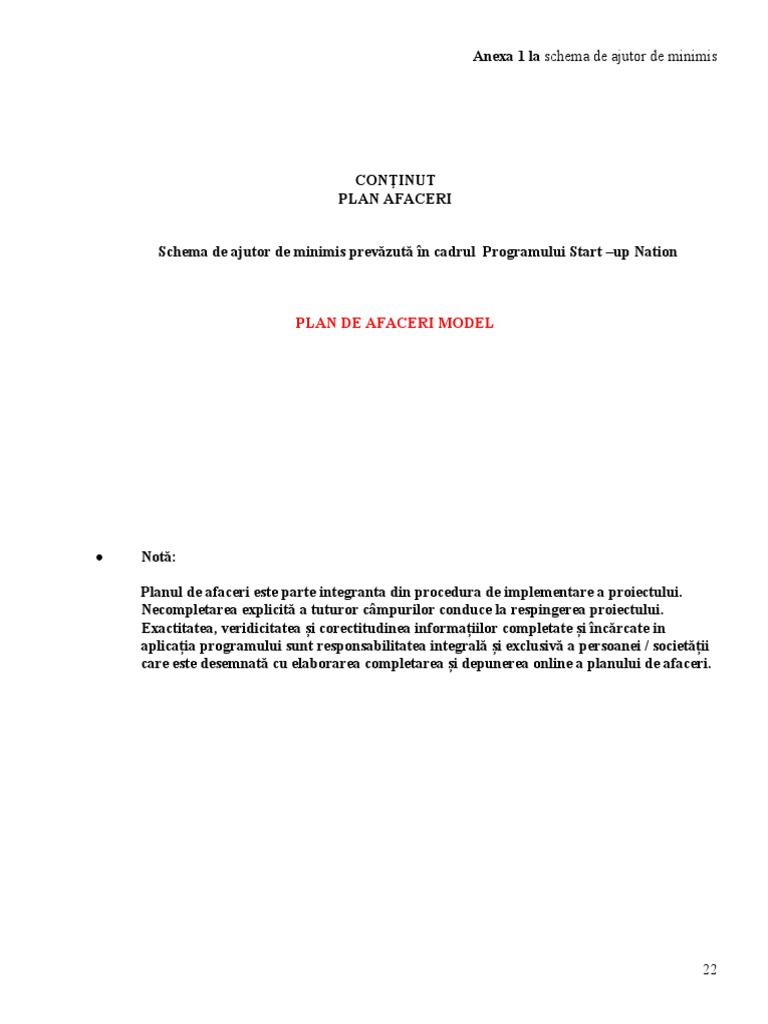 Plan de Afaceri Completat | PDF