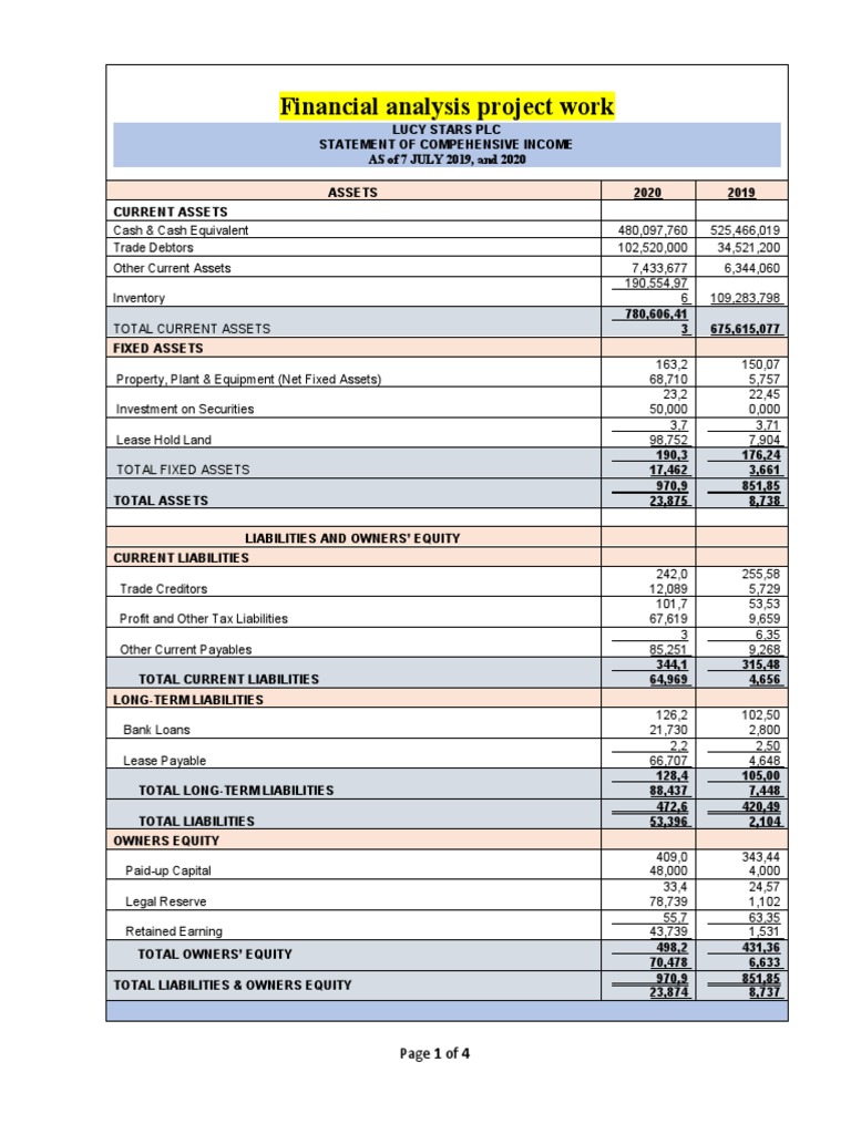 Financial Analysis Project Work | PDF