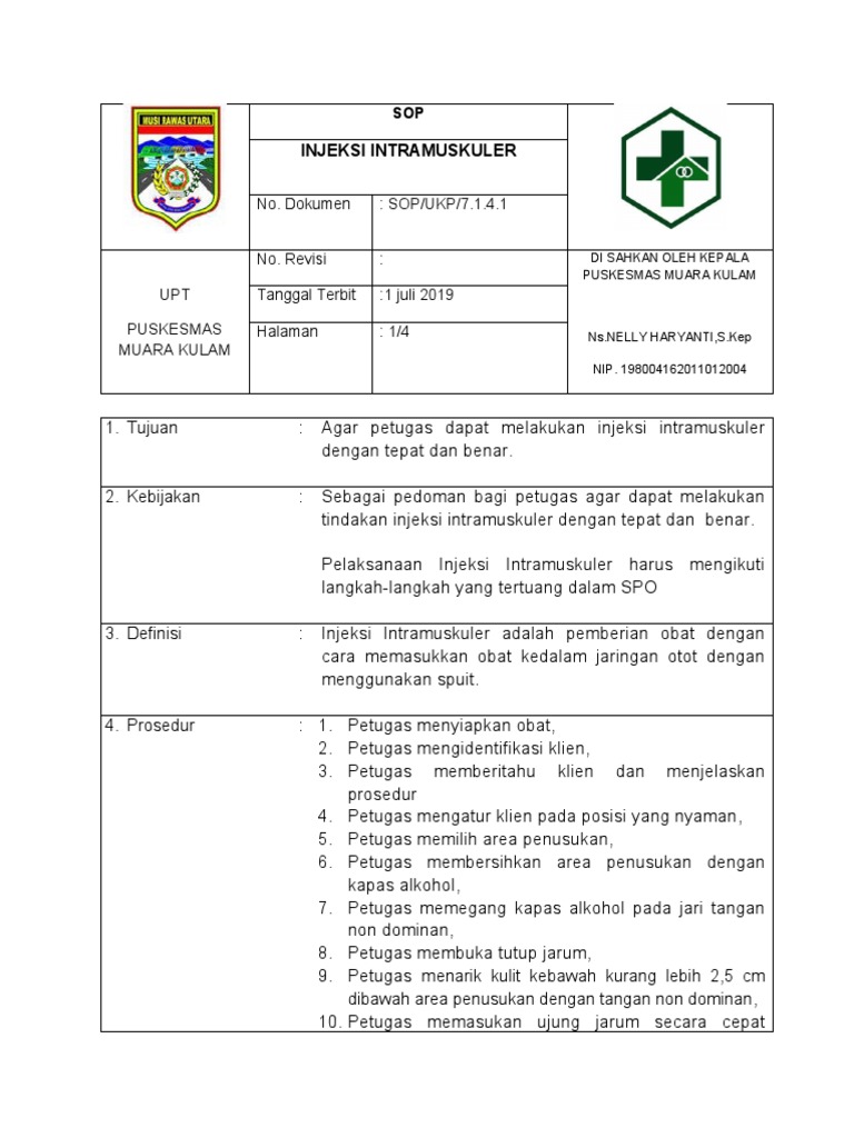 7.2.1.3 Injeksi Intramuskular | PDF