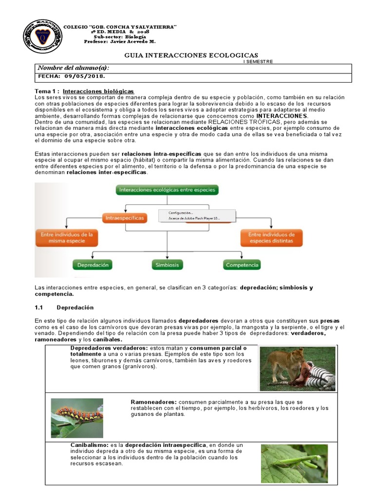 Guía de Interacciones Ecológicas en Biología | PDF | Simbiosis ...