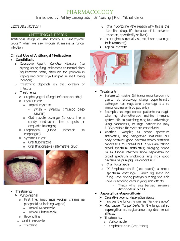 Transes 2 (PCOL) | PDF