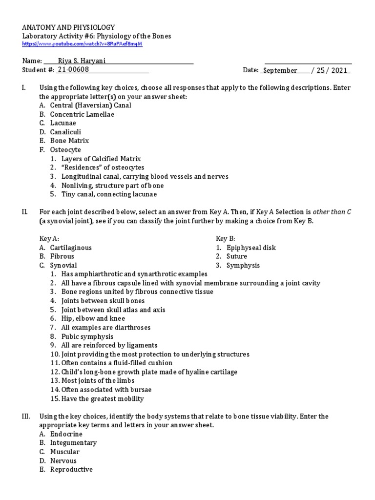 ANA PHY Lab Activity 6 Physiology of Bones | PDF | Bone | Cartilage