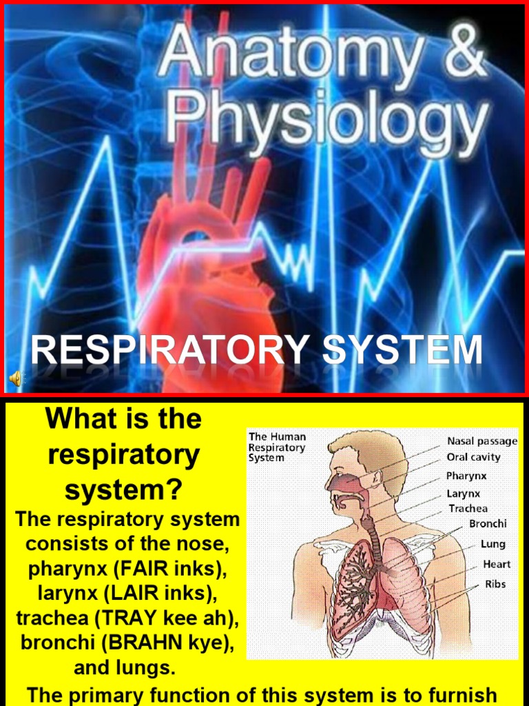Respi System | PDF