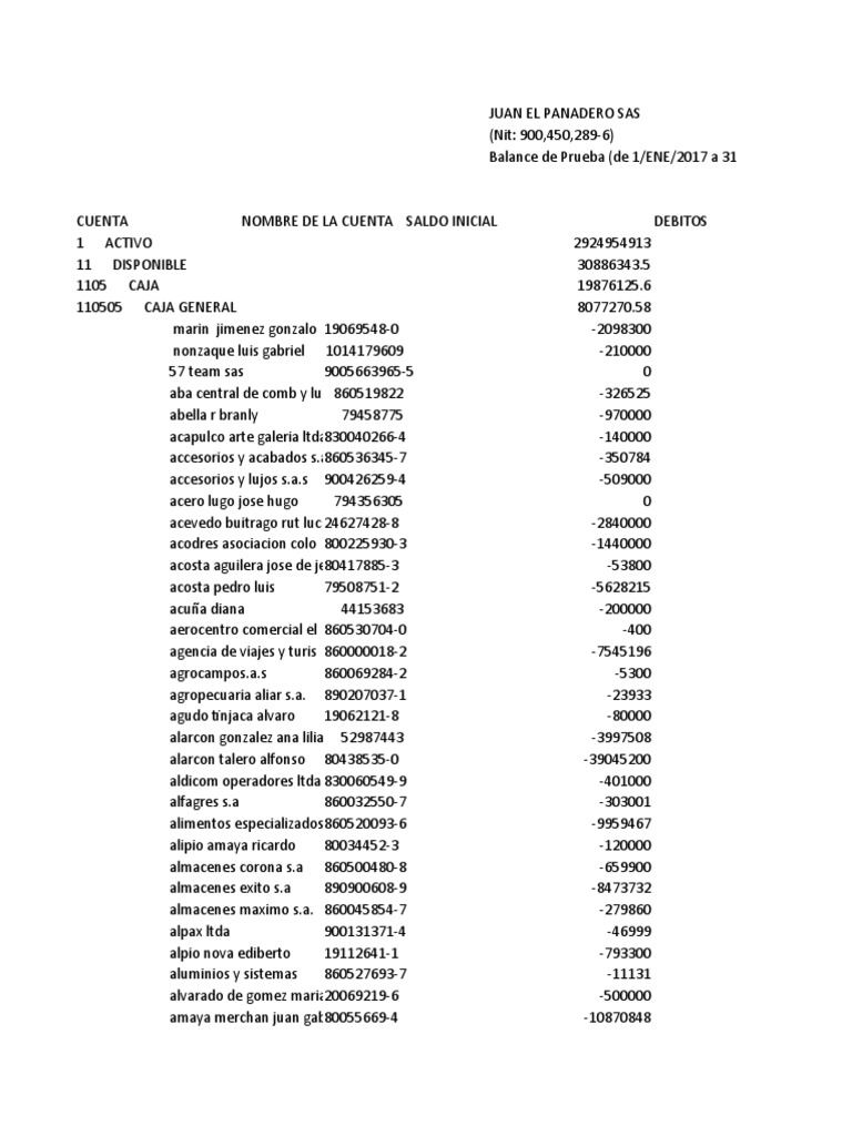 Balance de Prueba Cta Activo | PDF