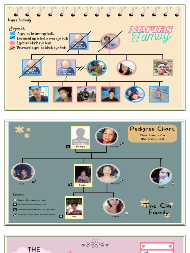 GENETICS - Pedigree Chart | PDF