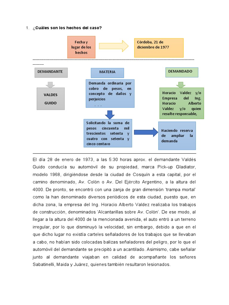 Resumen De Los Hechos Pdf