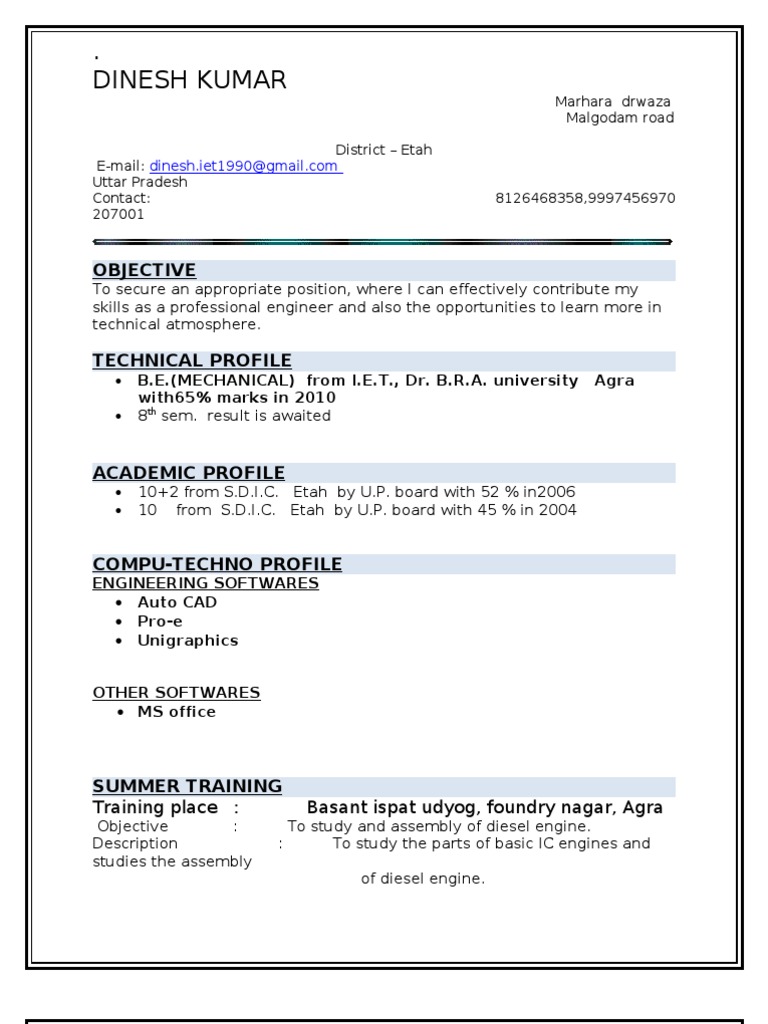 Dinesh CV | PDF