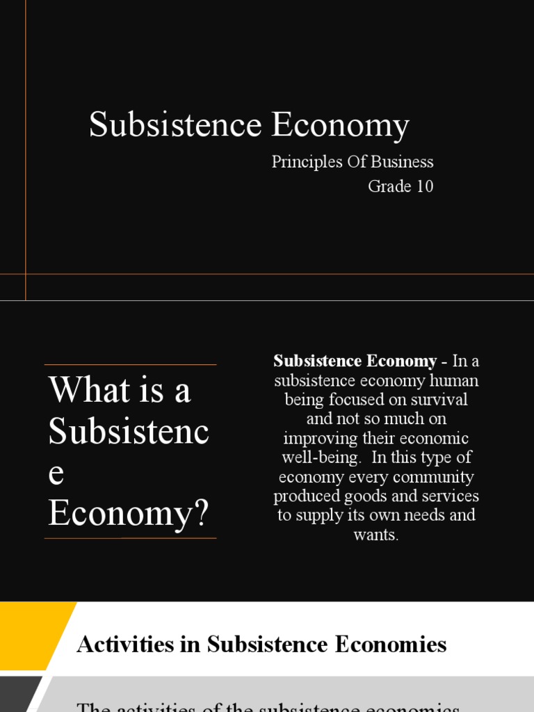 Subsistence Economy | PDF | Economies | Economics