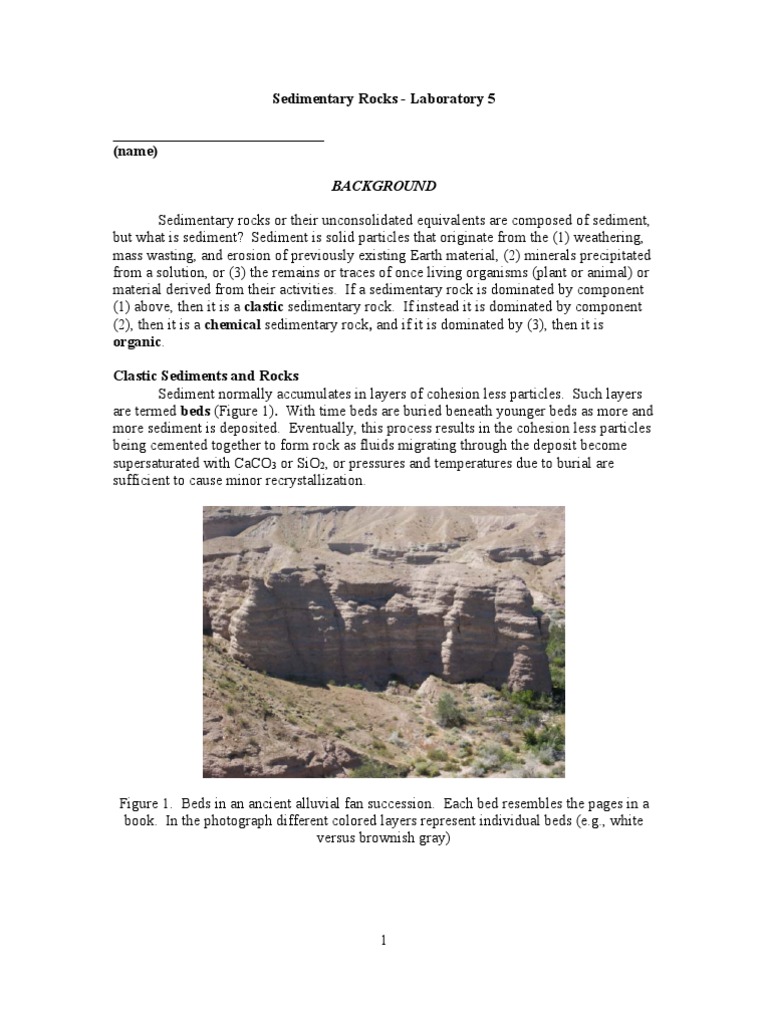 Sedimentary Lab 5 | PDF | Sedimentary Rock | Clastic Rock
