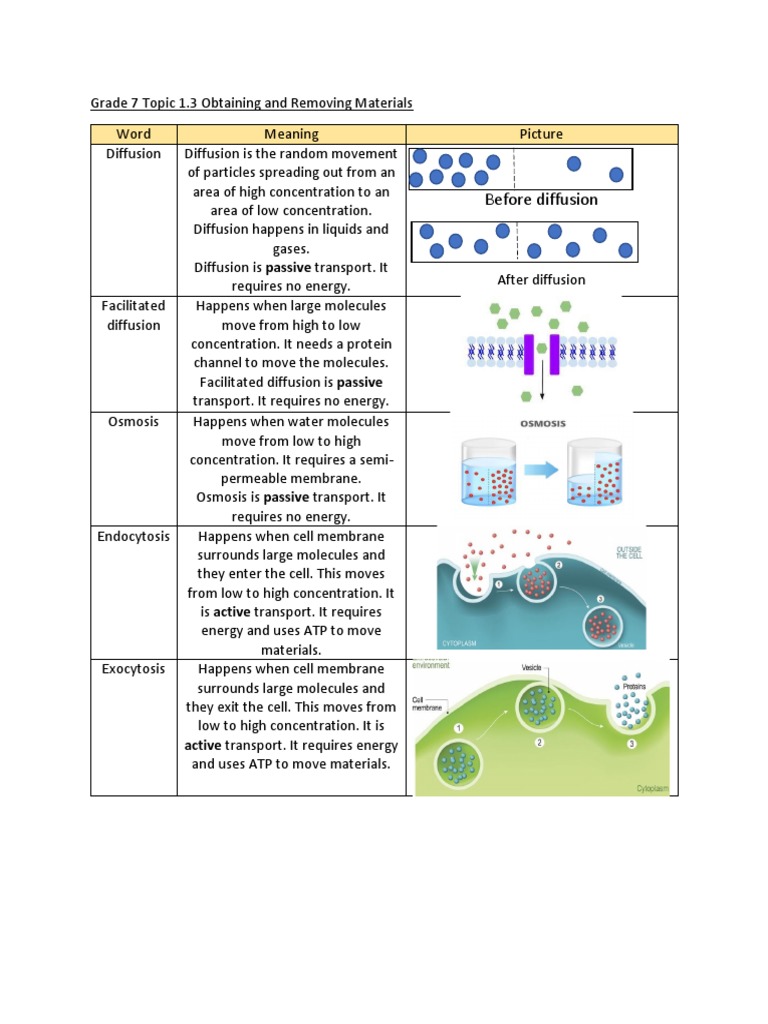 Grade 7 Topics 1.3 Obtaining and Removing Materials and 1.4 Cell ...
