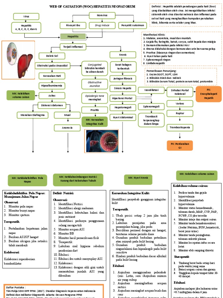 WOC Hepatitis | PDF