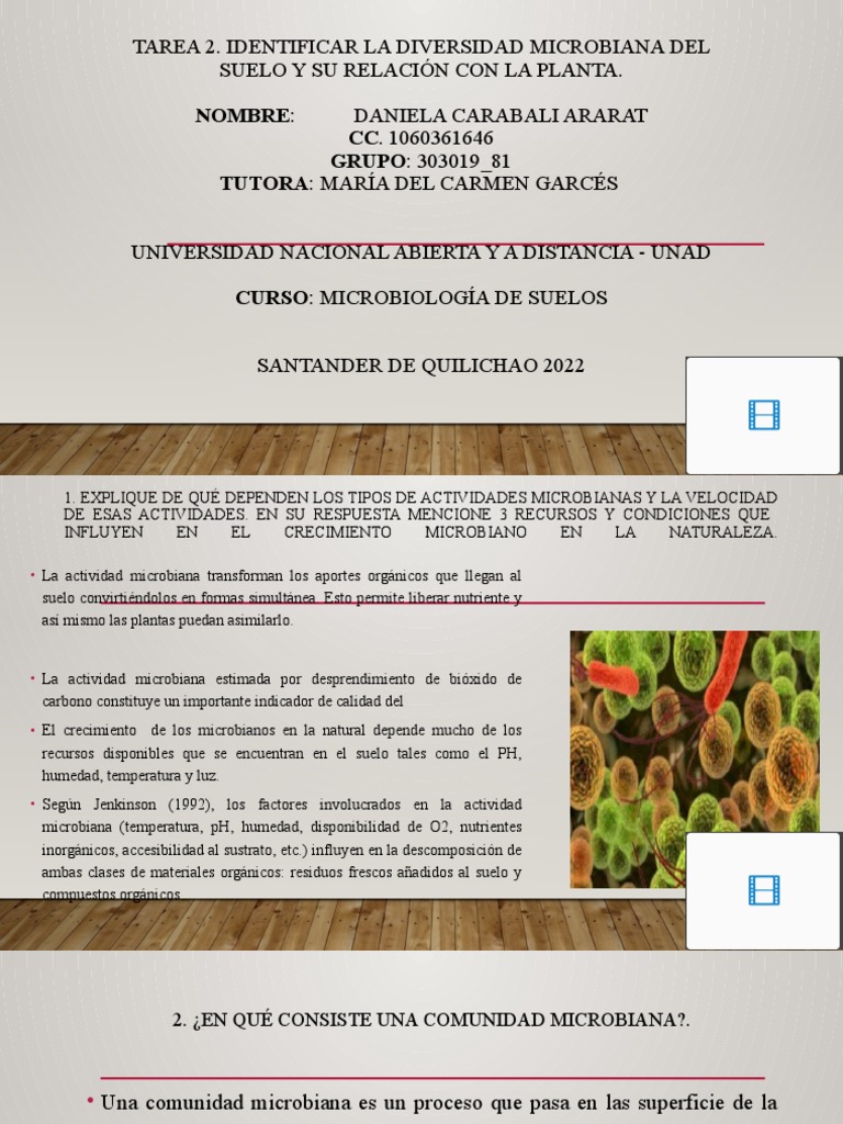 Tarea 2 | PDF | Suelo | Microorganismo