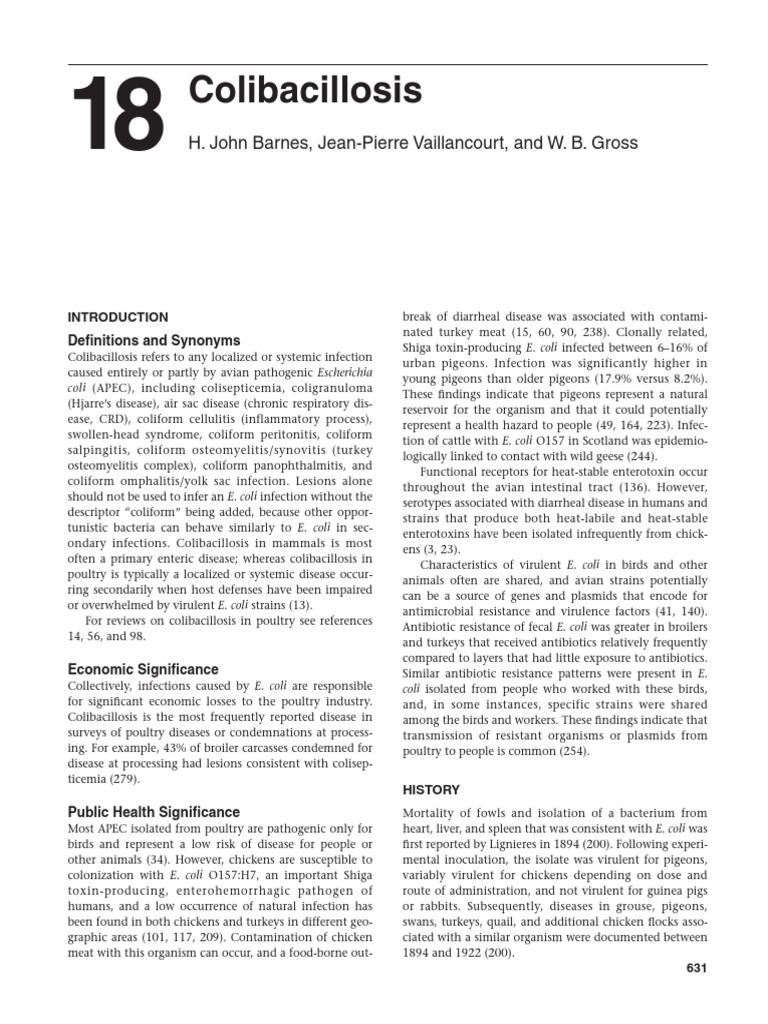 CH18I Colibacillosis | PDF