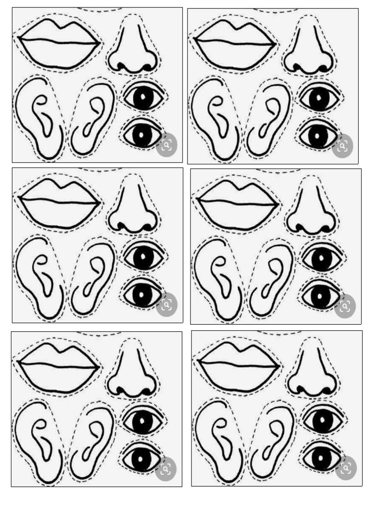 Partes de La Cara | PDF